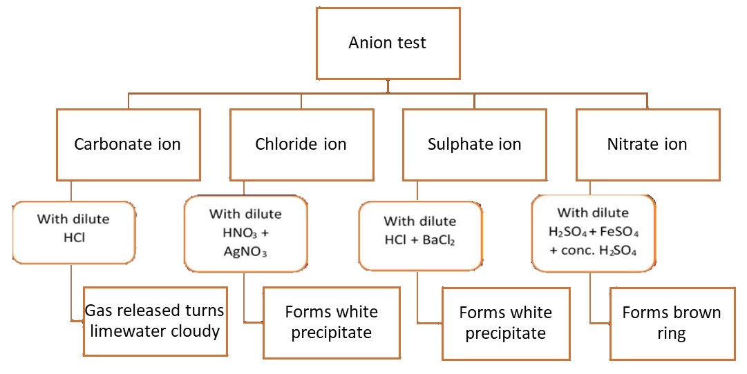 Qualitative Analysis